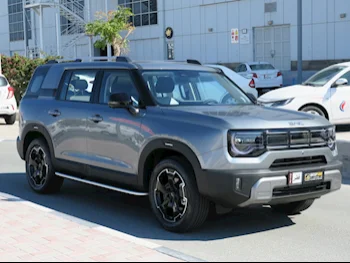 BAIC BJ30e Gray 2025 For Sale in Qatar